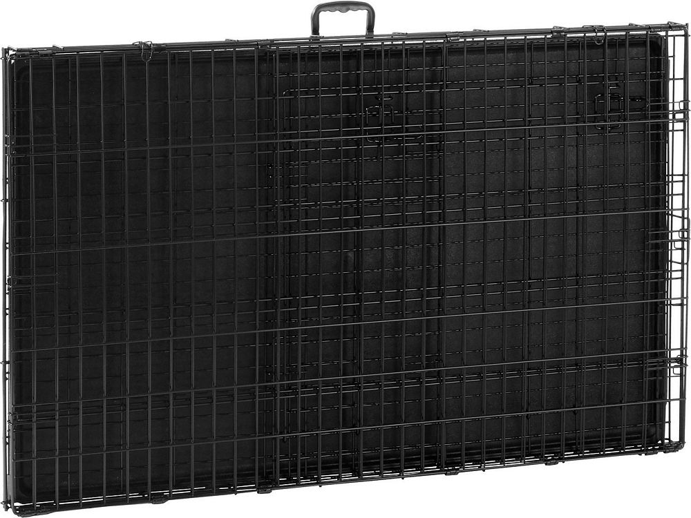 Absolute Auctions & Realty