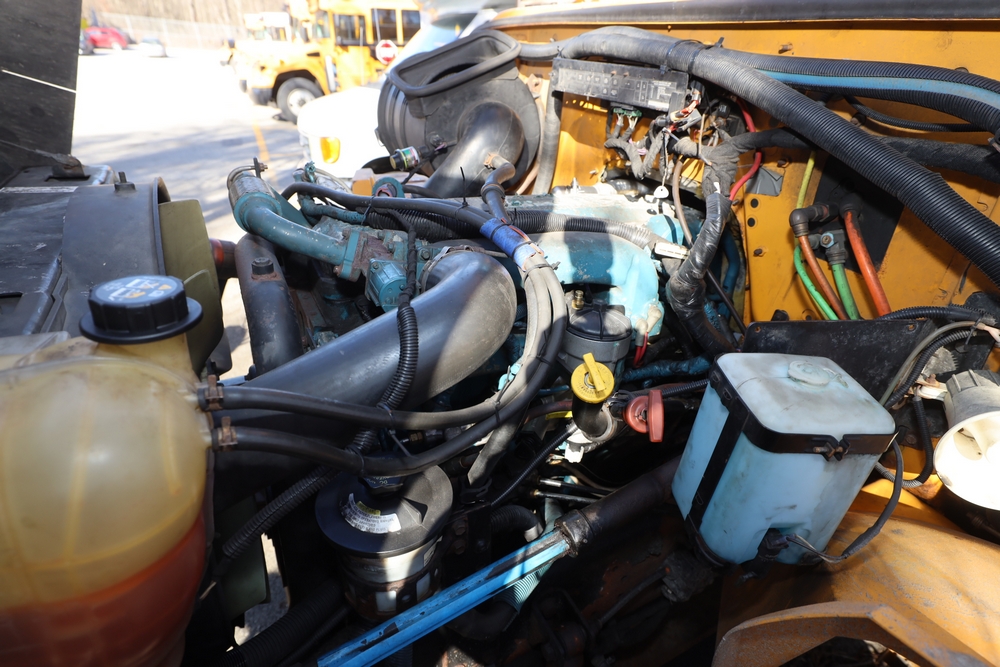 Absolute Auctions & Realty