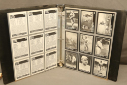 Absolute Auctions & Realty