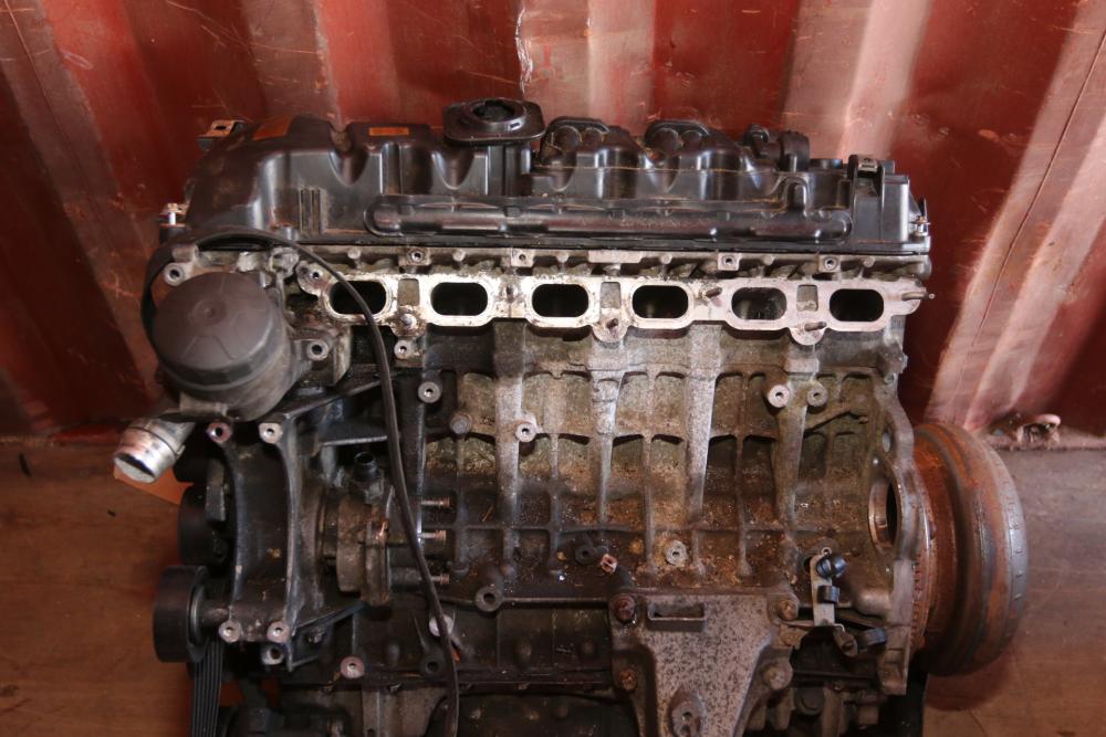 Absolute Auctions & Realty