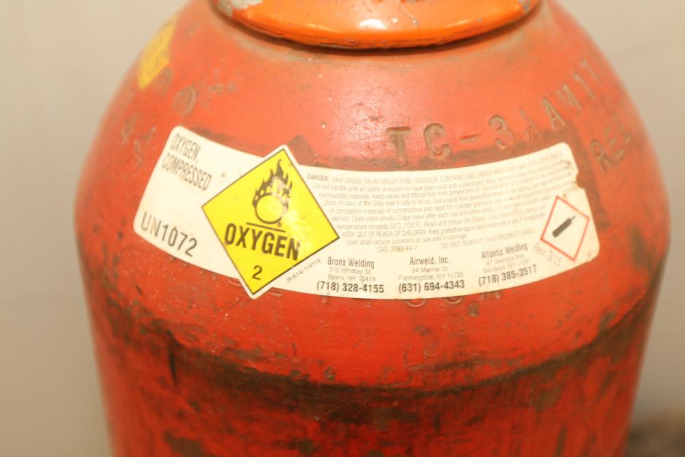 Absolute Auctions & Realty