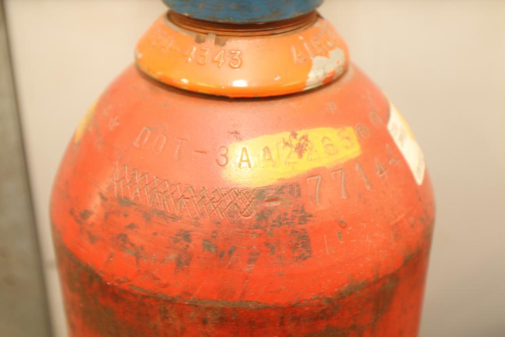 Absolute Auctions & Realty