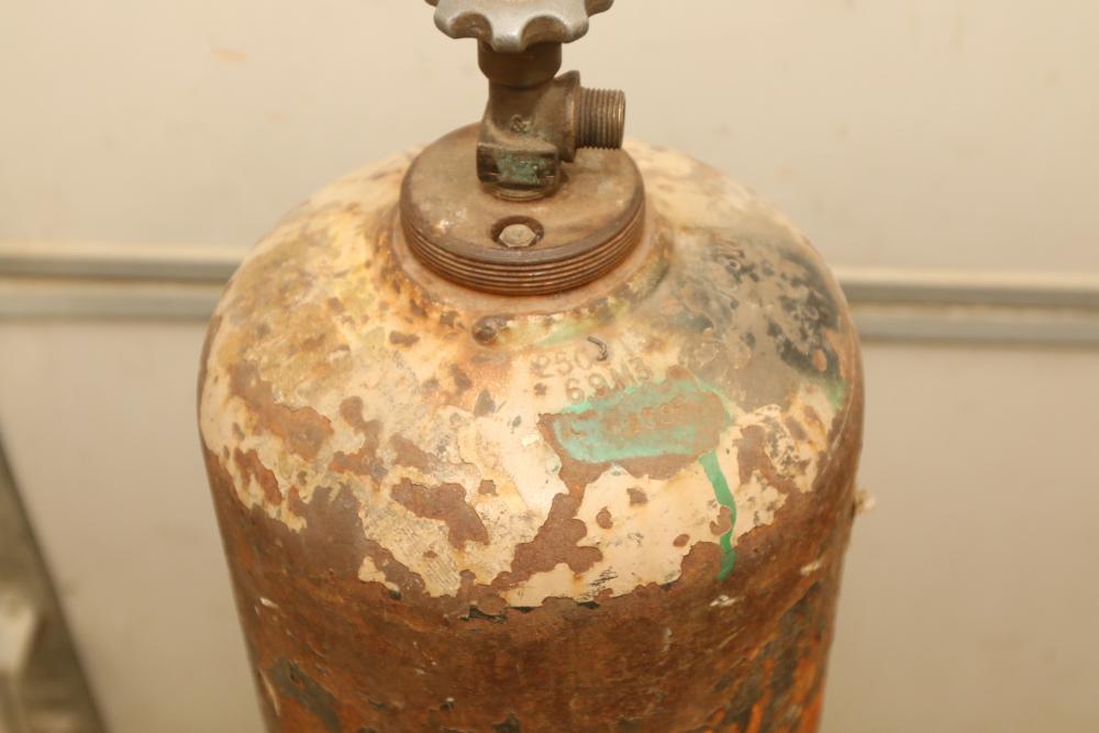 Absolute Auctions & Realty