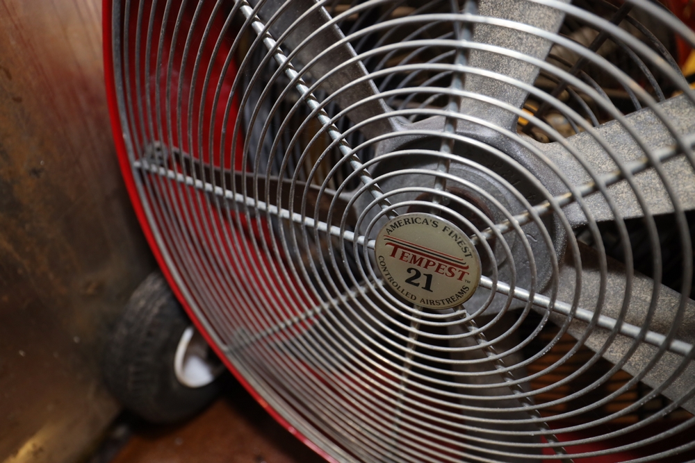 Absolute Auctions & Realty