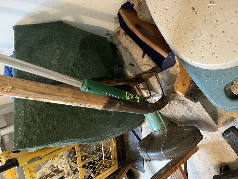 Absolute Auctions & Realty