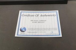 Absolute Auctions & Realty