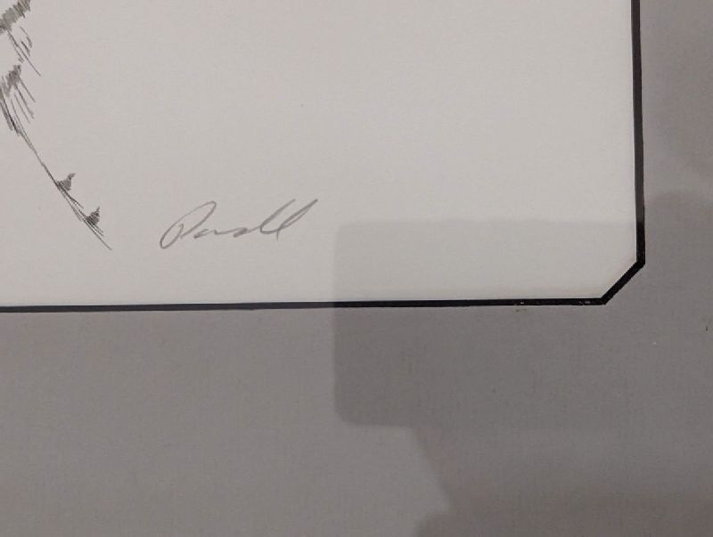 Absolute Auctions & Realty