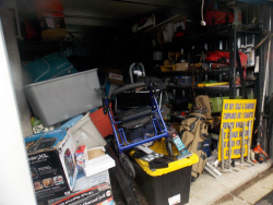 Absolute Auctions & Realty