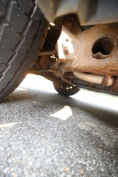 Absolute Auctions & Realty