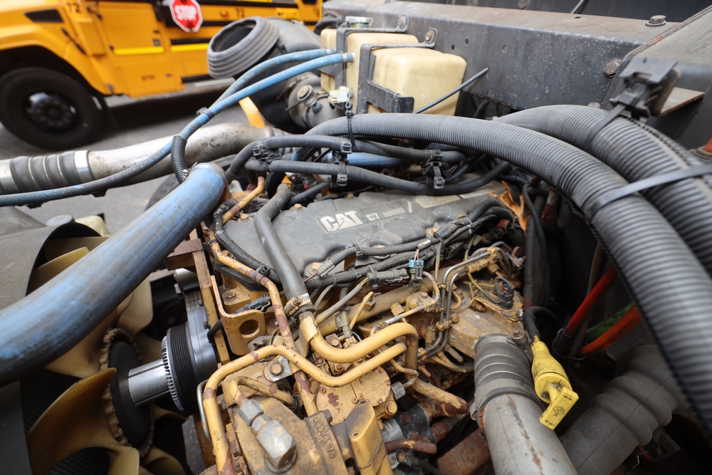 Absolute Auctions & Realty