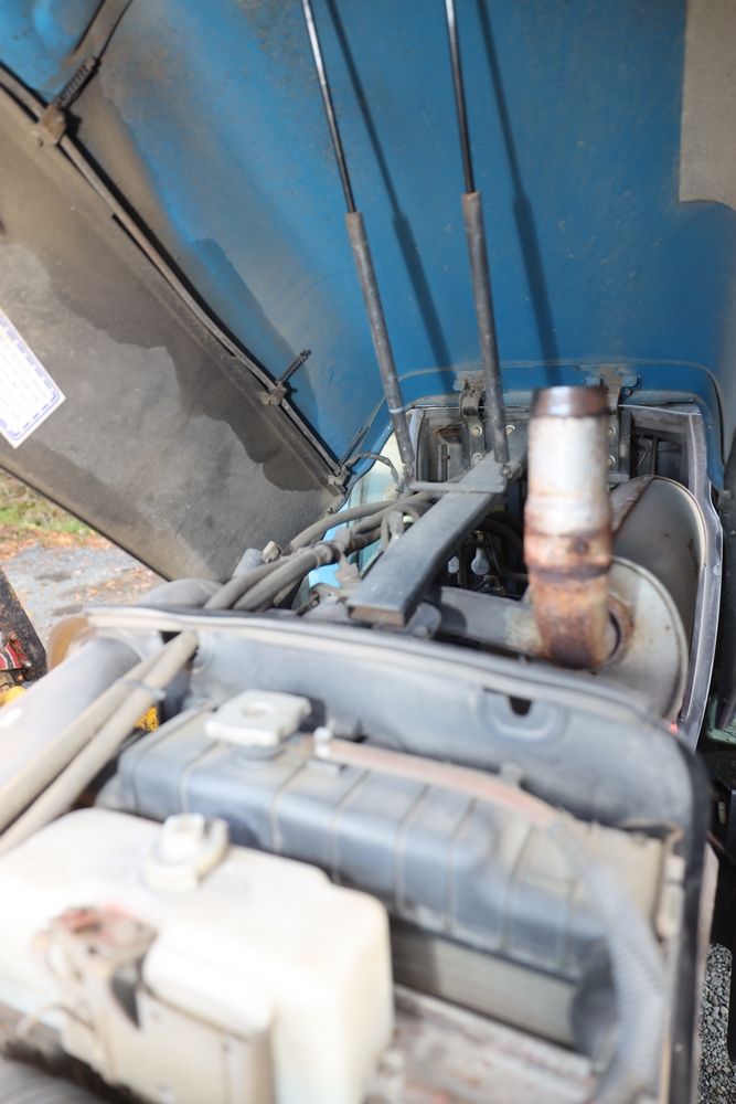 Absolute Auctions & Realty