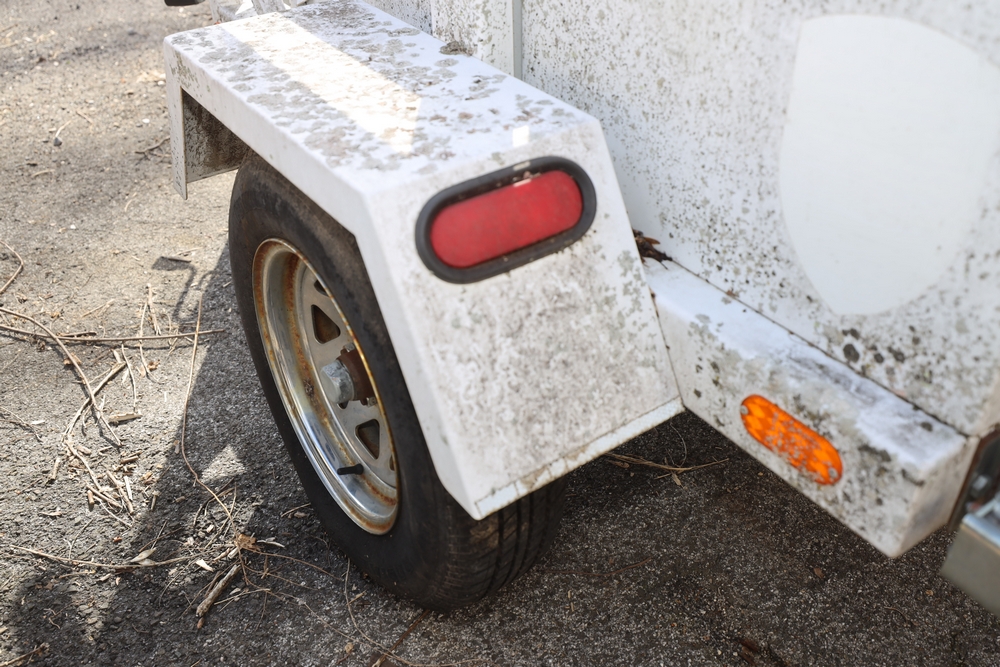 Absolute Auctions & Realty